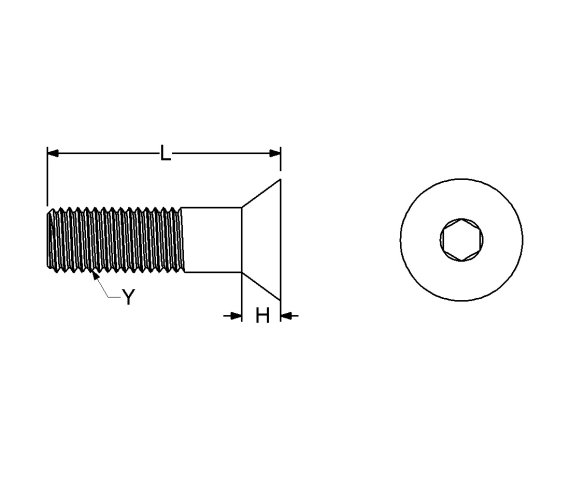 Flat Head Socket Screws M12 x 1.75 x 90 316 SS