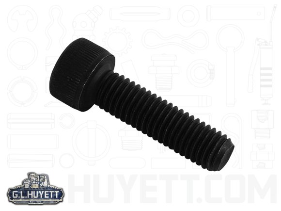 Metric Cap Screw M8 x 1.25 x 50