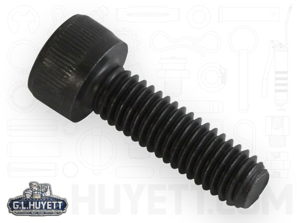 Hex Socket Cap Screw M6x1 x 20 Alloy PL