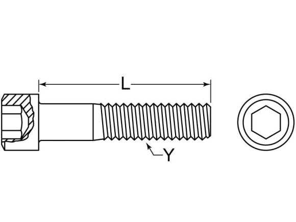 Hex Sckt Cap Screw M4x0.7 x 10 Alloy PL