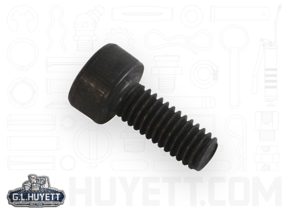 Hex Sckt Cap Screw M4x0.7 x 12 Alloy PL