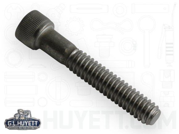 Hex Skt Cap Screw 1/4"-20 x 1-1/2" SS PL