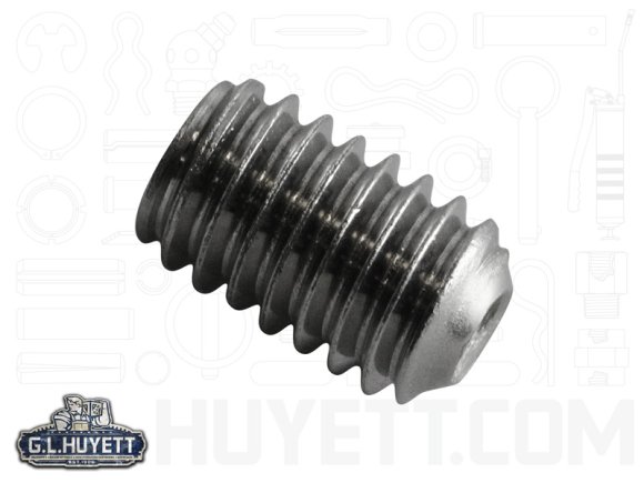 Hex Socket Set Screw #8-32 x 1/4 SS PL