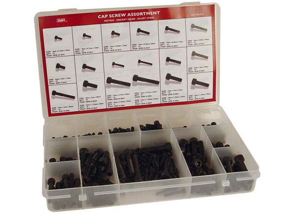 Cap Screw Skt Hd Asst Metric AS PL 255pc