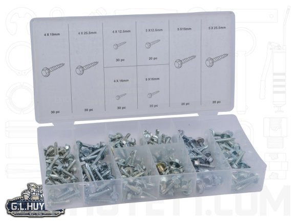 Hex Head Drill Screw Assortment 200pc
