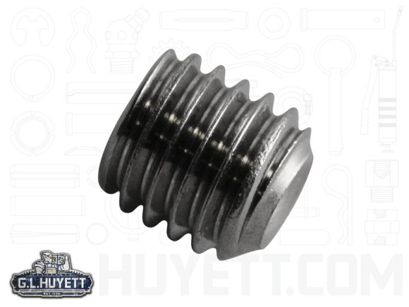 Hex Socket Set Screw M6x1 x 6 SS PL