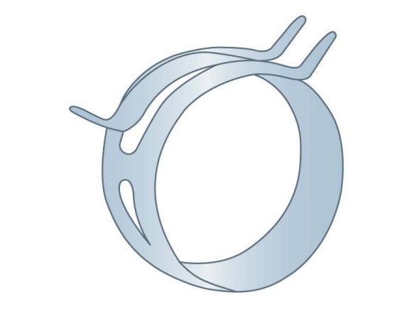 Hose Clamp #8.5 TB Light Silver