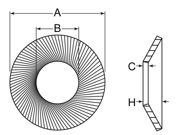 Belleville Disc Spring Washer Serrated M5.5 x 0.5 SS PL Bolt 3
