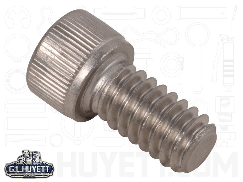 Hex Sckt Cap Screw 1/4"-20 x 1/2" SS PL
