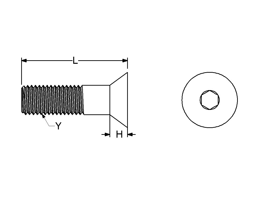 Flat Head Socket Screws M10 x 1.50 x 60 316 SS