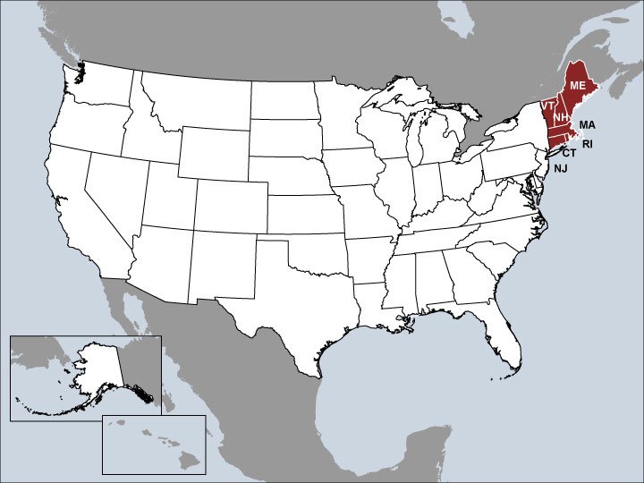 Morgan Rudolph - Rick Rudolph Associates, LLC